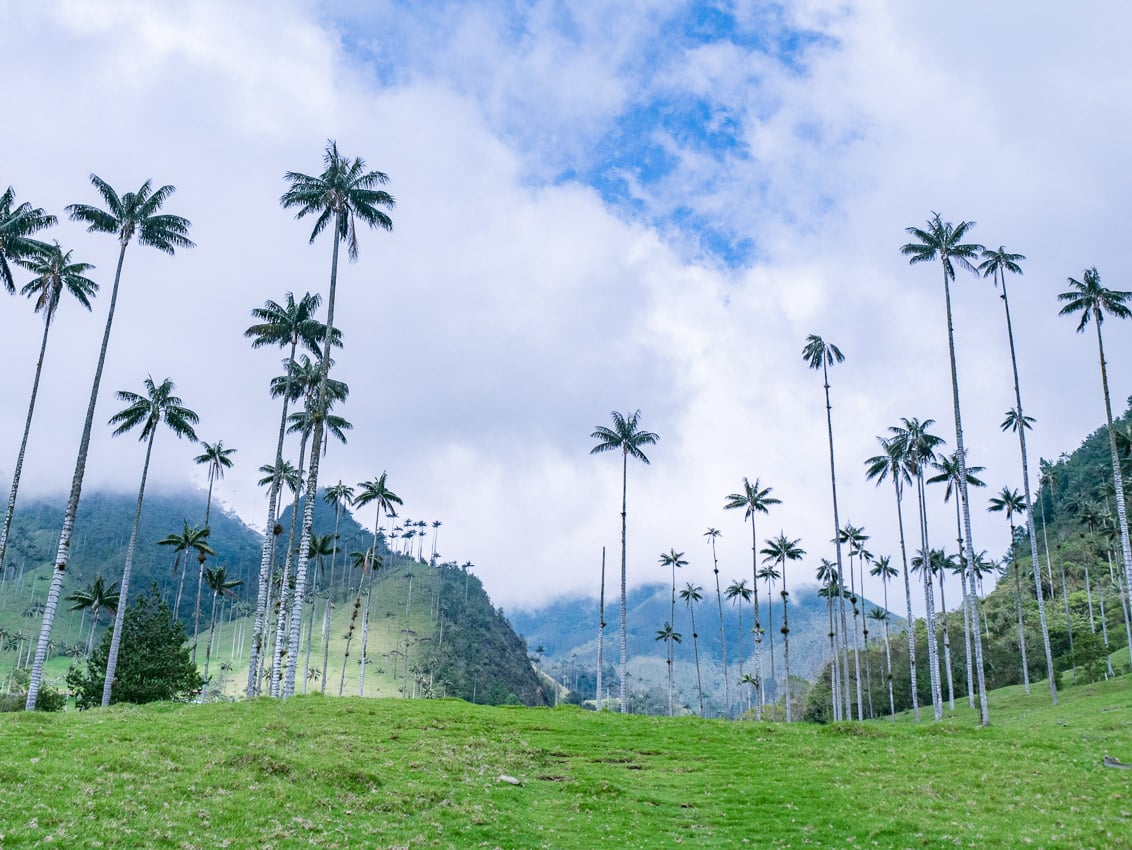 Trek d’un jour à la vallée de Cocora / Mon voyage en Colombie