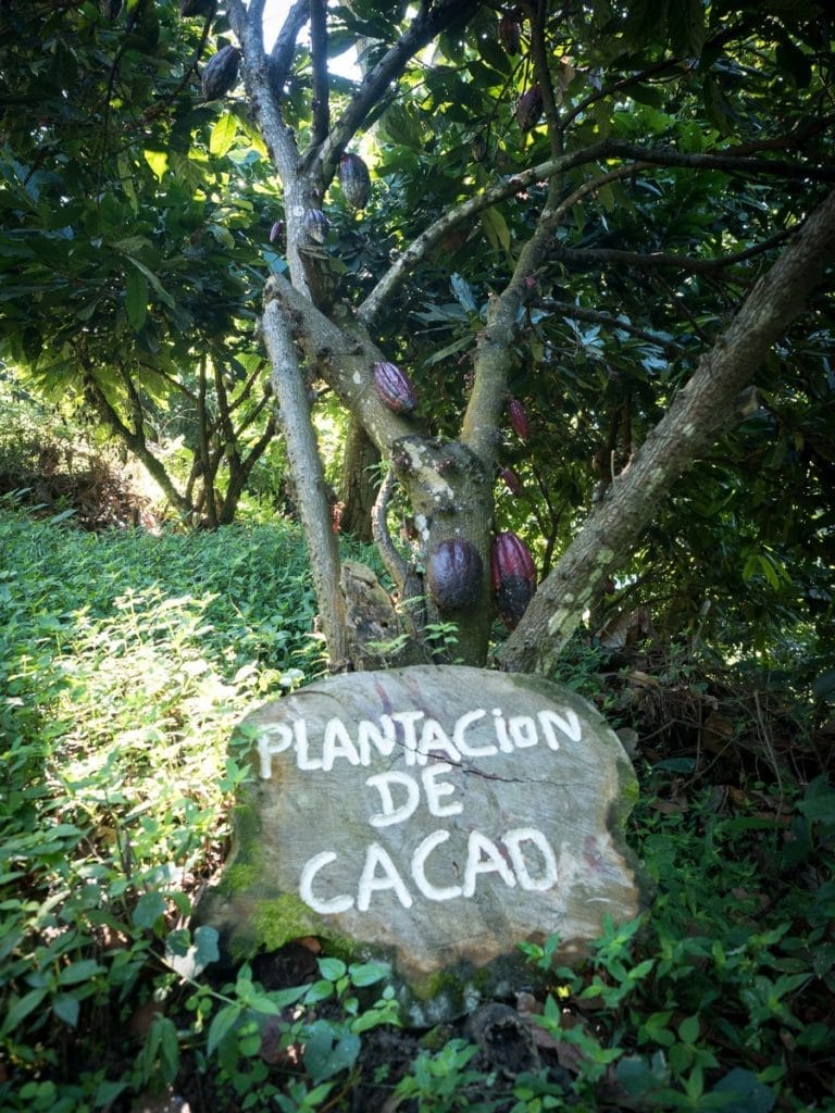 Minca, dans la Sierra Nevada de Santa Marta / Mon voyage en Colombie