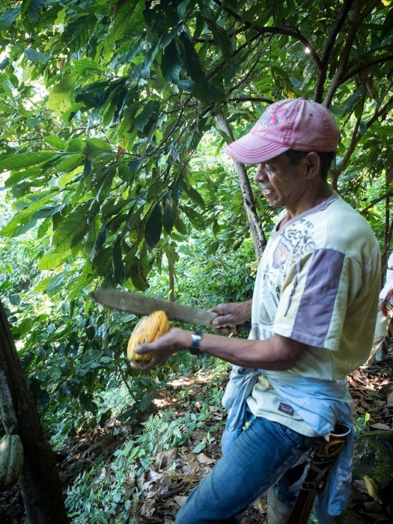 Minca, dans la Sierra Nevada de Santa Marta / Mon voyage en Colombie