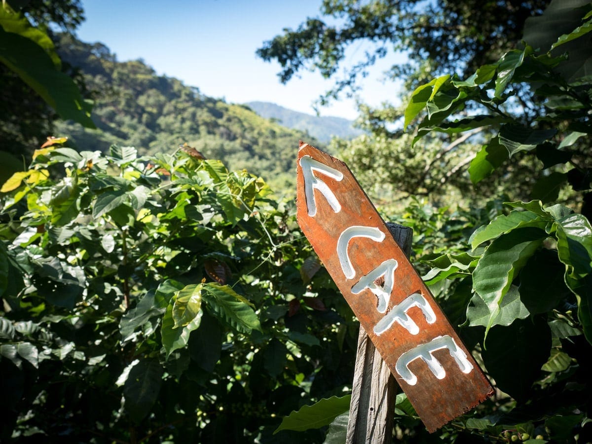 Minca, dans la Sierra Nevada de Santa Marta / Mon voyage en Colombie