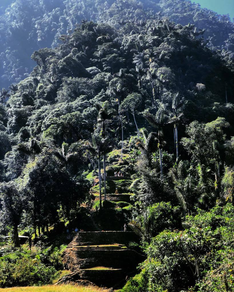 Trek de la Cité Perdue, guide de Ciudad Perdida en Colombie (2026 ...