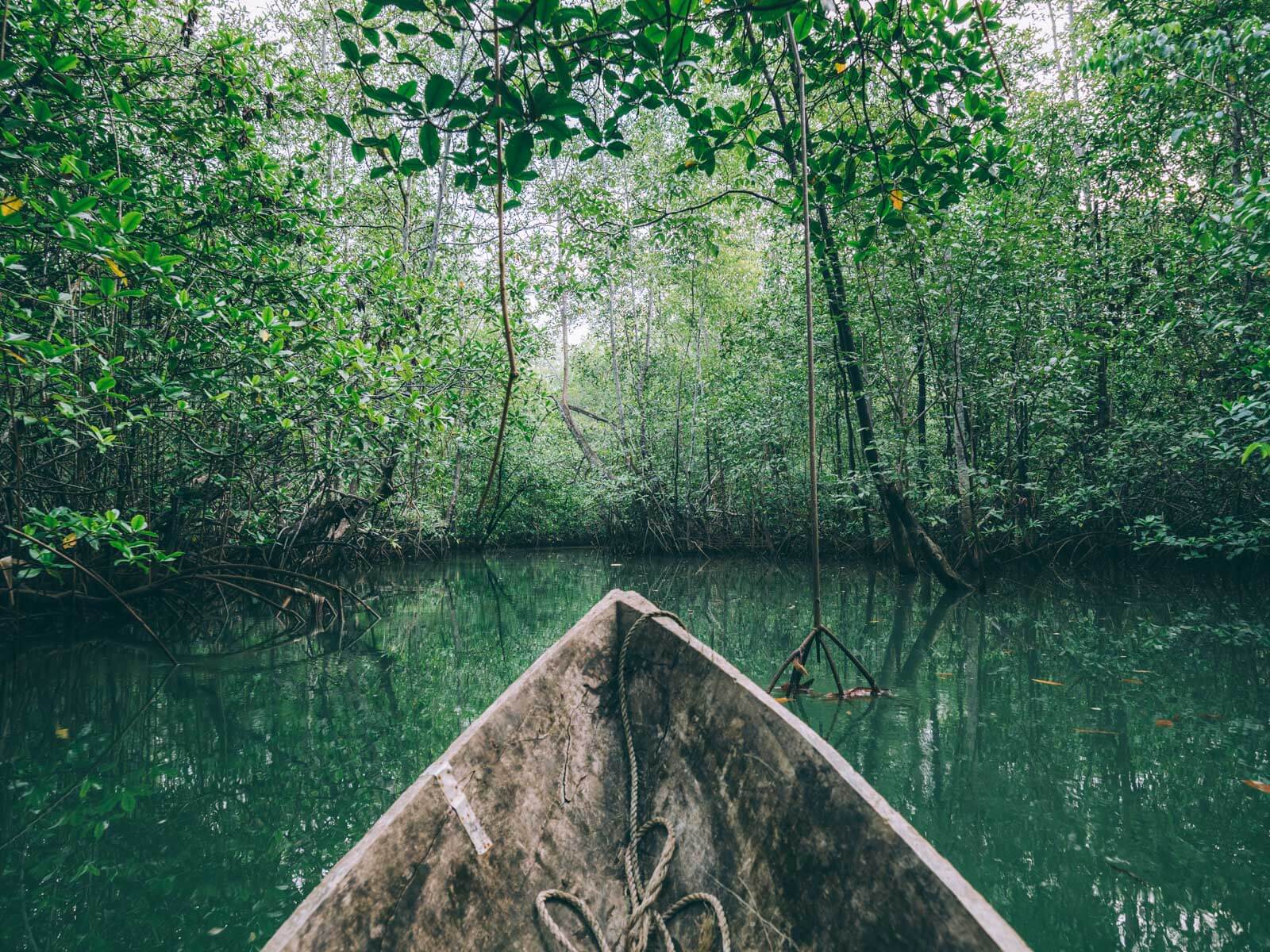 Arusí, village du pacifique près de Nuquí / Mon voyage en Colombie