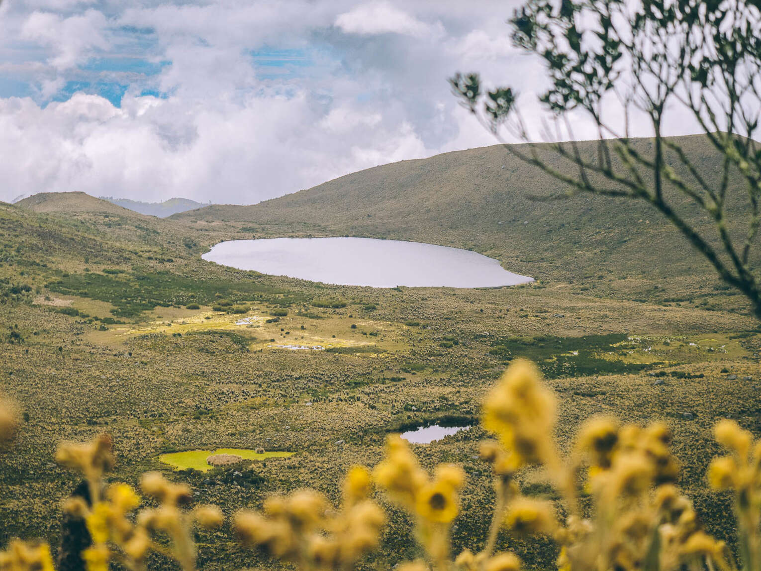 Trek au Páramo de Sumapaz, une belle randonnée autour de (2026)